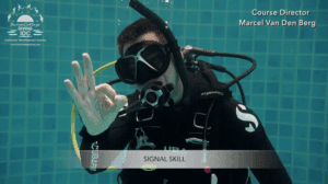 Scuba Diving Hand Signals: Essential Underwater Communication