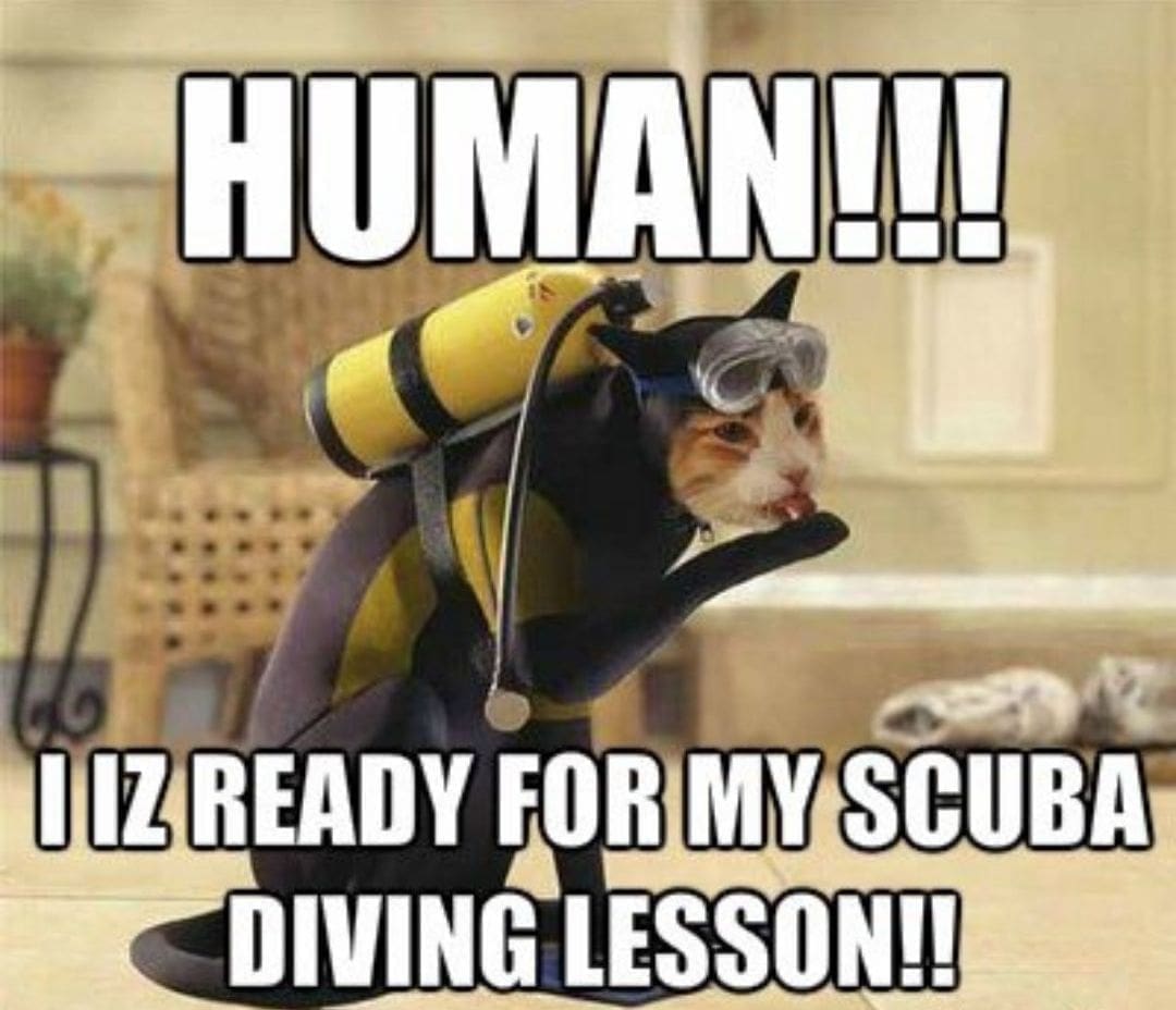 Funny Scuba Diving Memes: Laughs Only Divers Understand