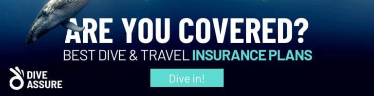 PADI Open Water Skills List: Complete Guide for New Divers
