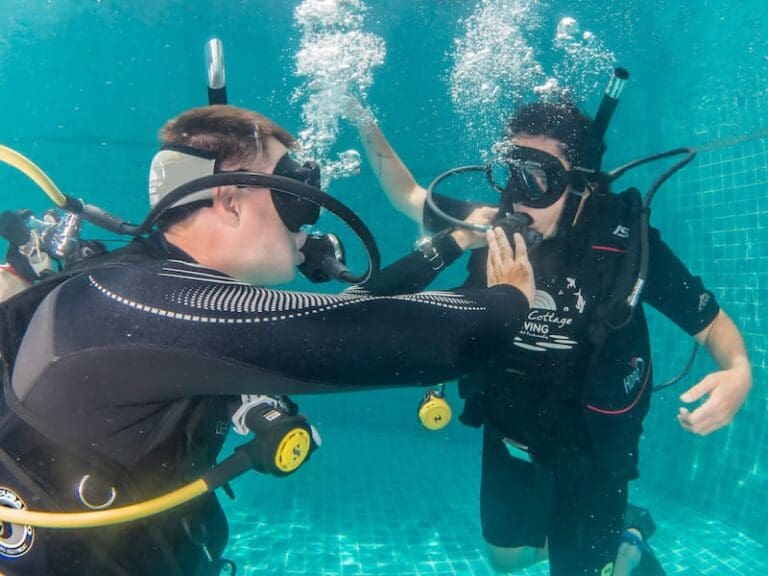 Neutrally Buoyant vs Kneeling: Scuba Diving Skills Compared
